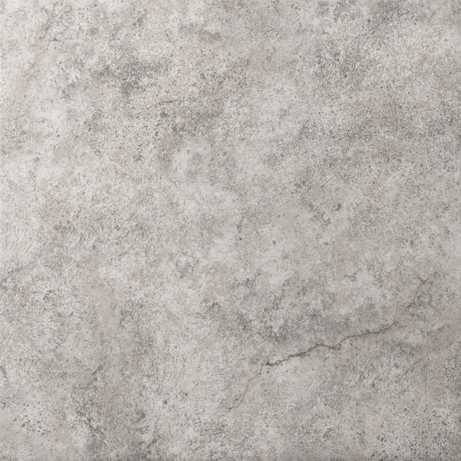 Daltile Stella Vista 12" X 24"